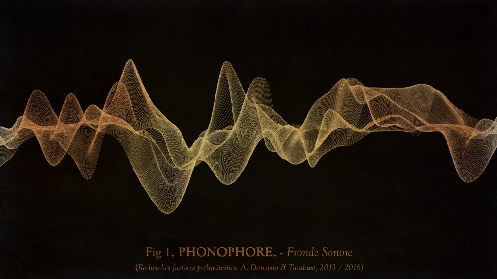 Phonophore – Tarabust